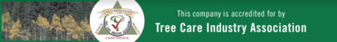 Tree Trimming & Removal Pensacola FL | Tri State Tree Service