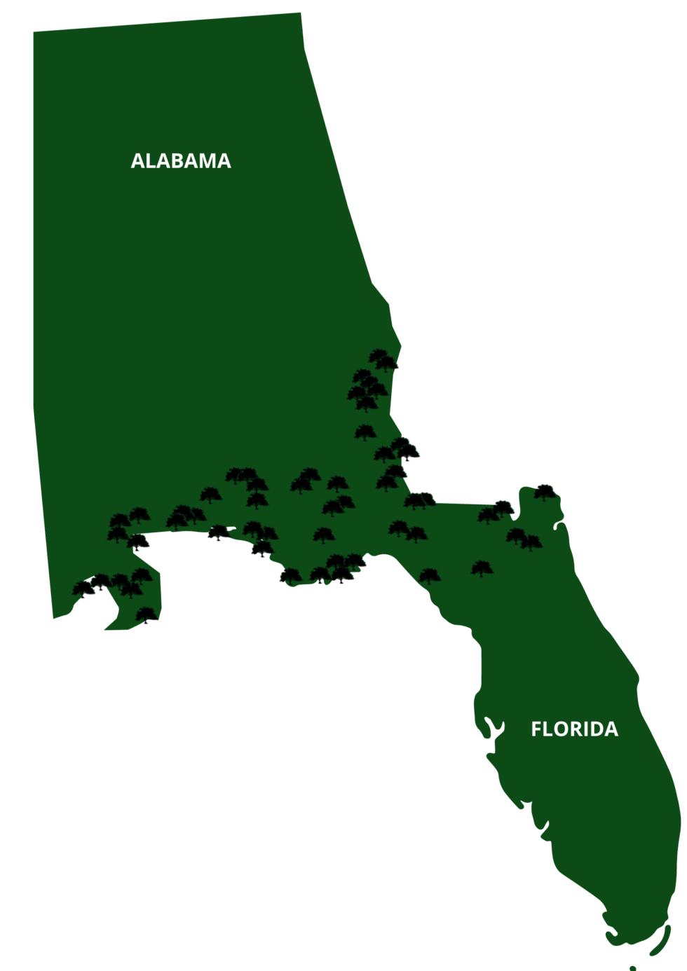 Tree Trimming & Removal Pensacola FL | Tri State Tree Service