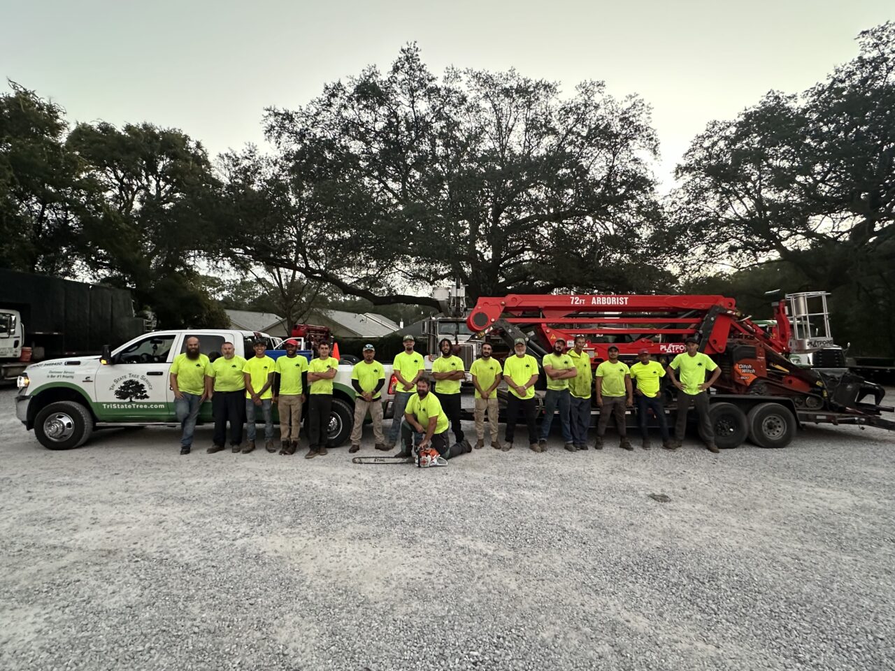 About Us | Tri State Tree Service