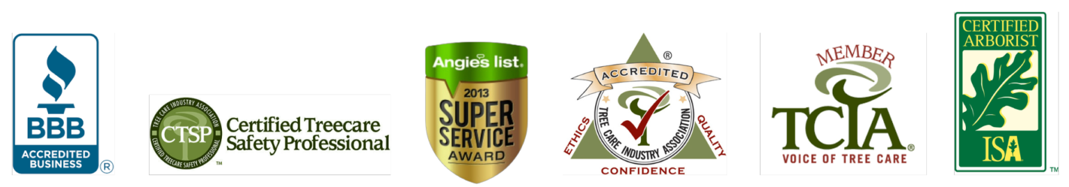 Tree Trimming & Removal Pensacola FL | Tri State Tree Service