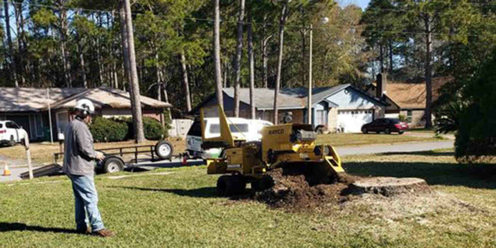 Blog | Tri State Tree Service