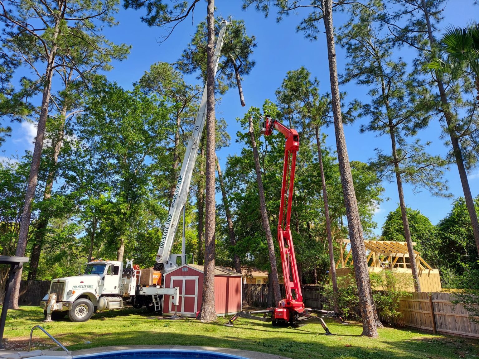 Tree Trimming & Removal Pensacola FL | Tri State Tree Service