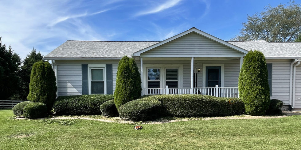 5 Best Low-Maintenance Trees for Large and Small Backyards