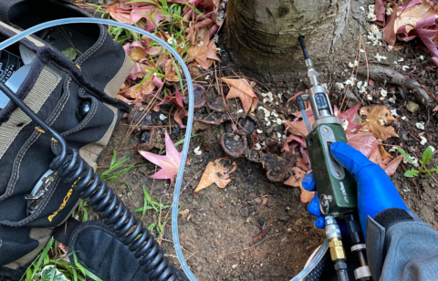 Tree Trimming & Removal Pensacola FL | Tri State Tree Service